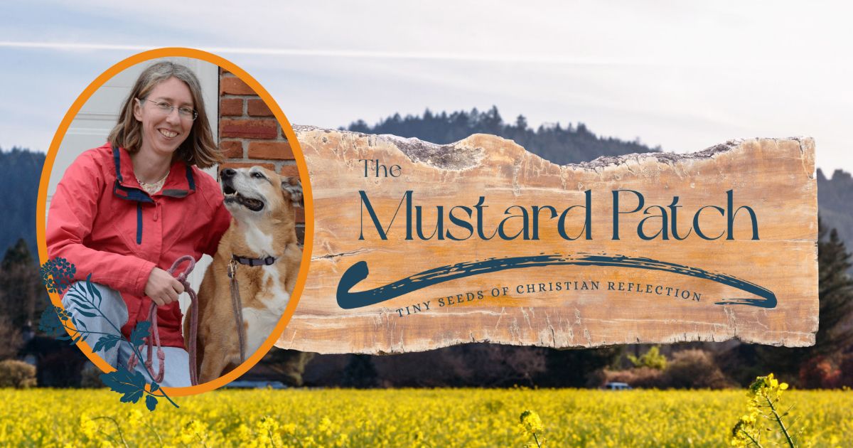 Cracking, Part II | The Mustard Patch